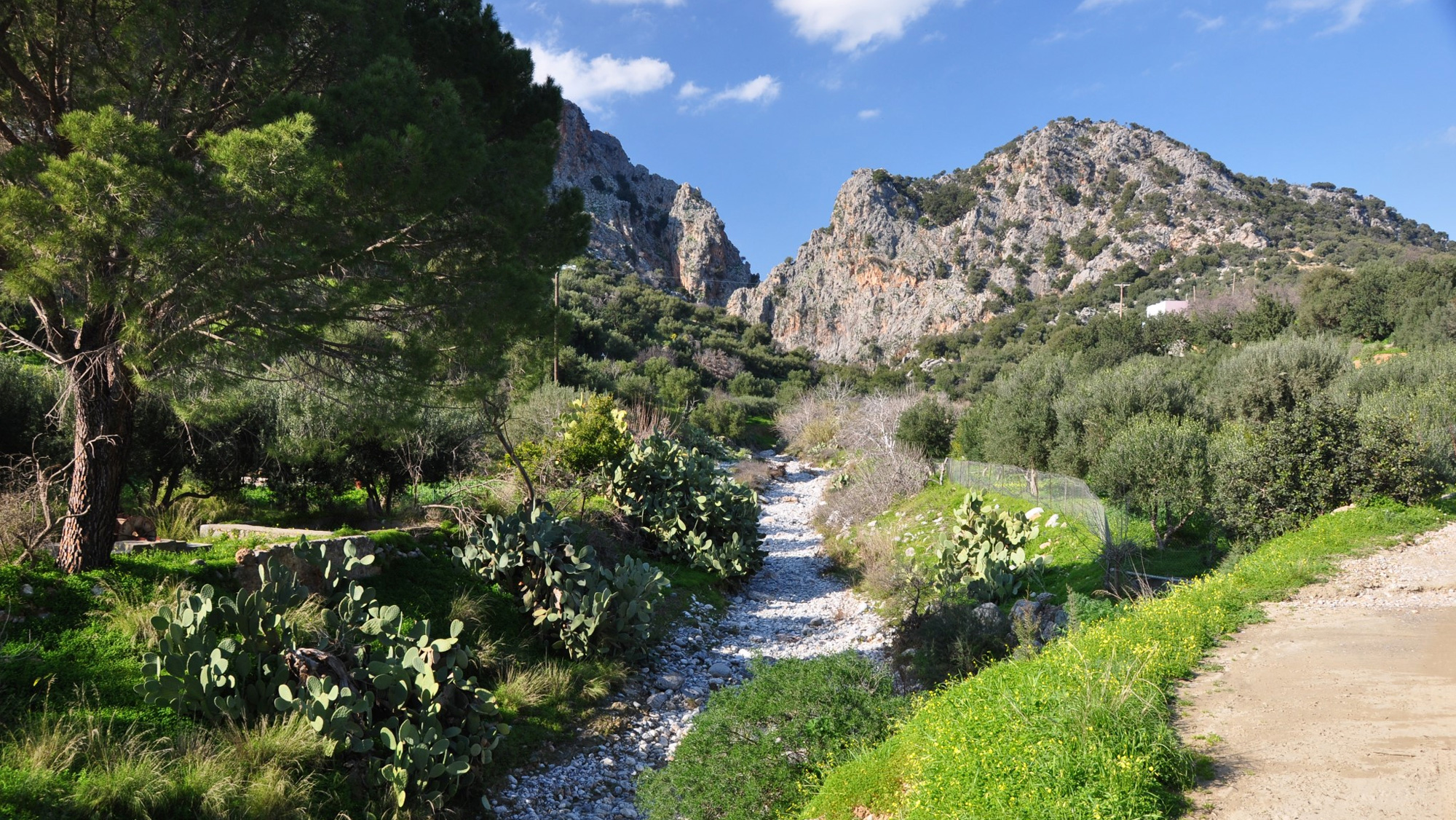Kritsa Gorge Crete Greece - Cretan Mountains - Cretan Flowers - Walk Crete