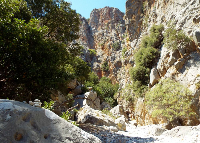 Kritsa Gorge Crete Greece - Cretan Mountains - Cretan Flowers - Walk Crete